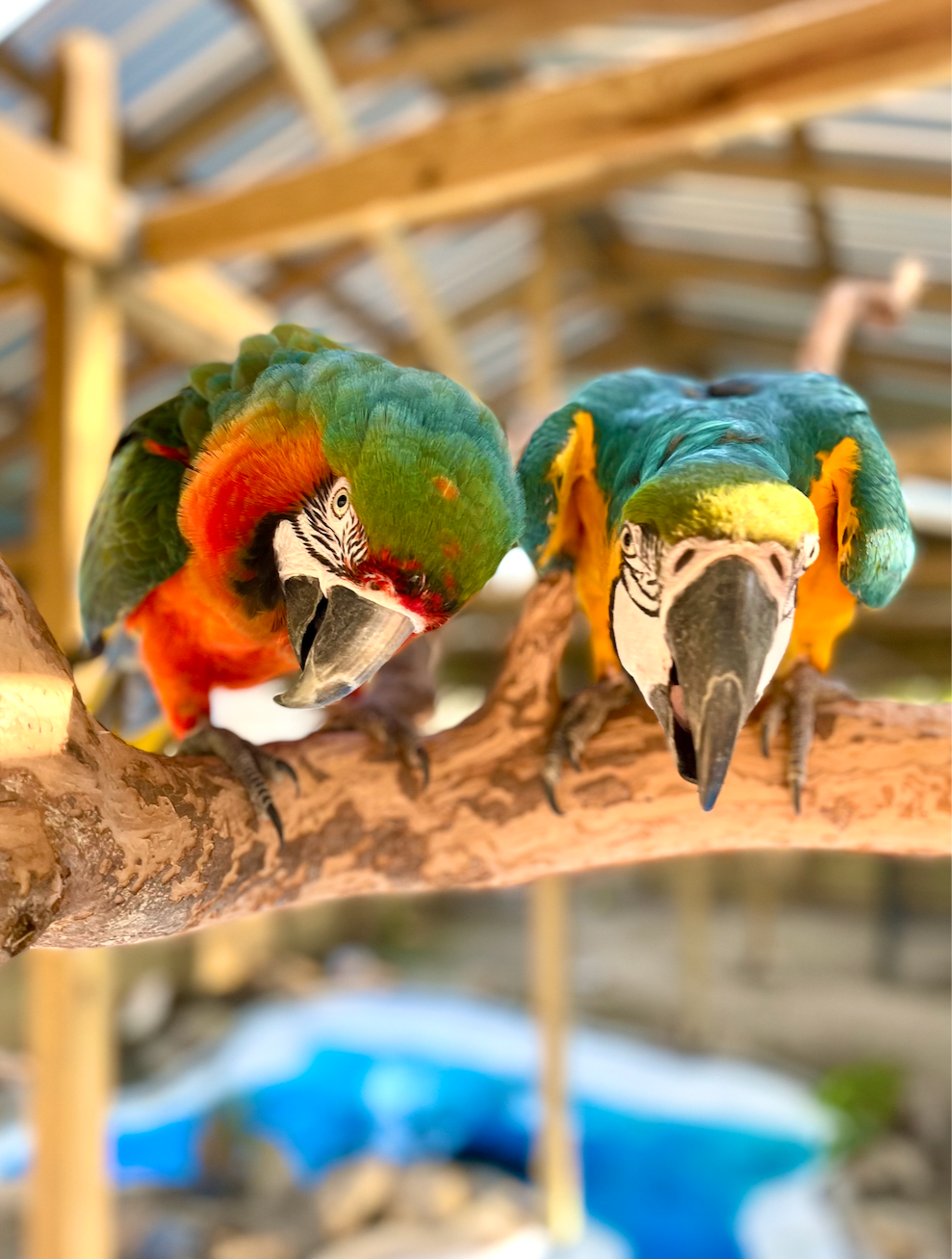 Things to do Location & Hours Volunteer Opportunities