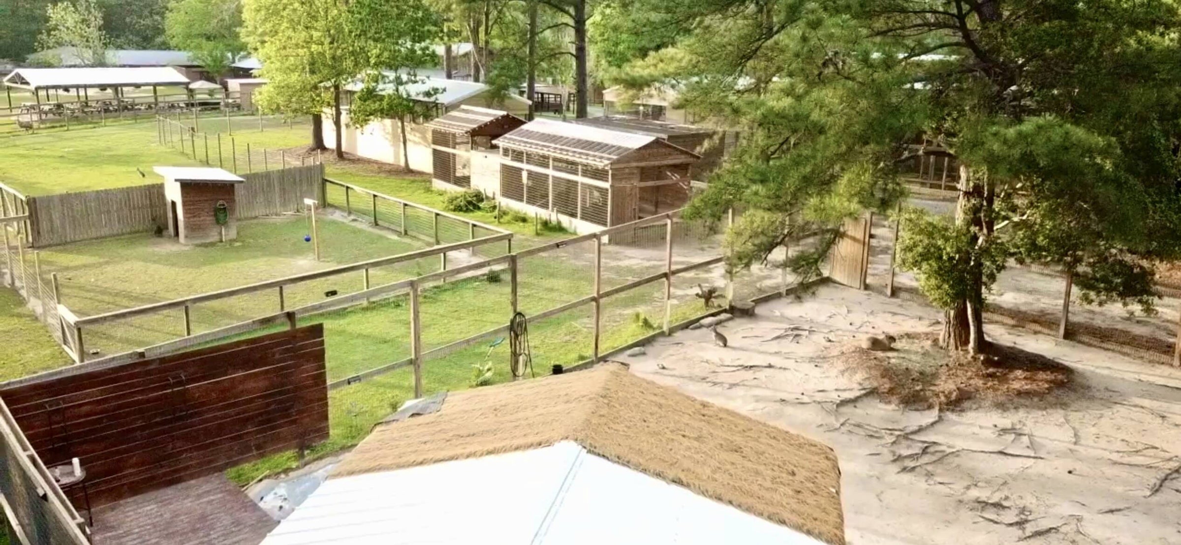 Things to do Location & Hours Volunteer Opportunities