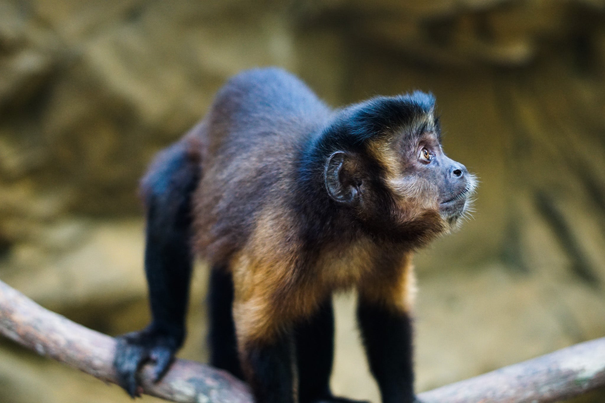 Things to do Location & Hours Volunteer Opportunities