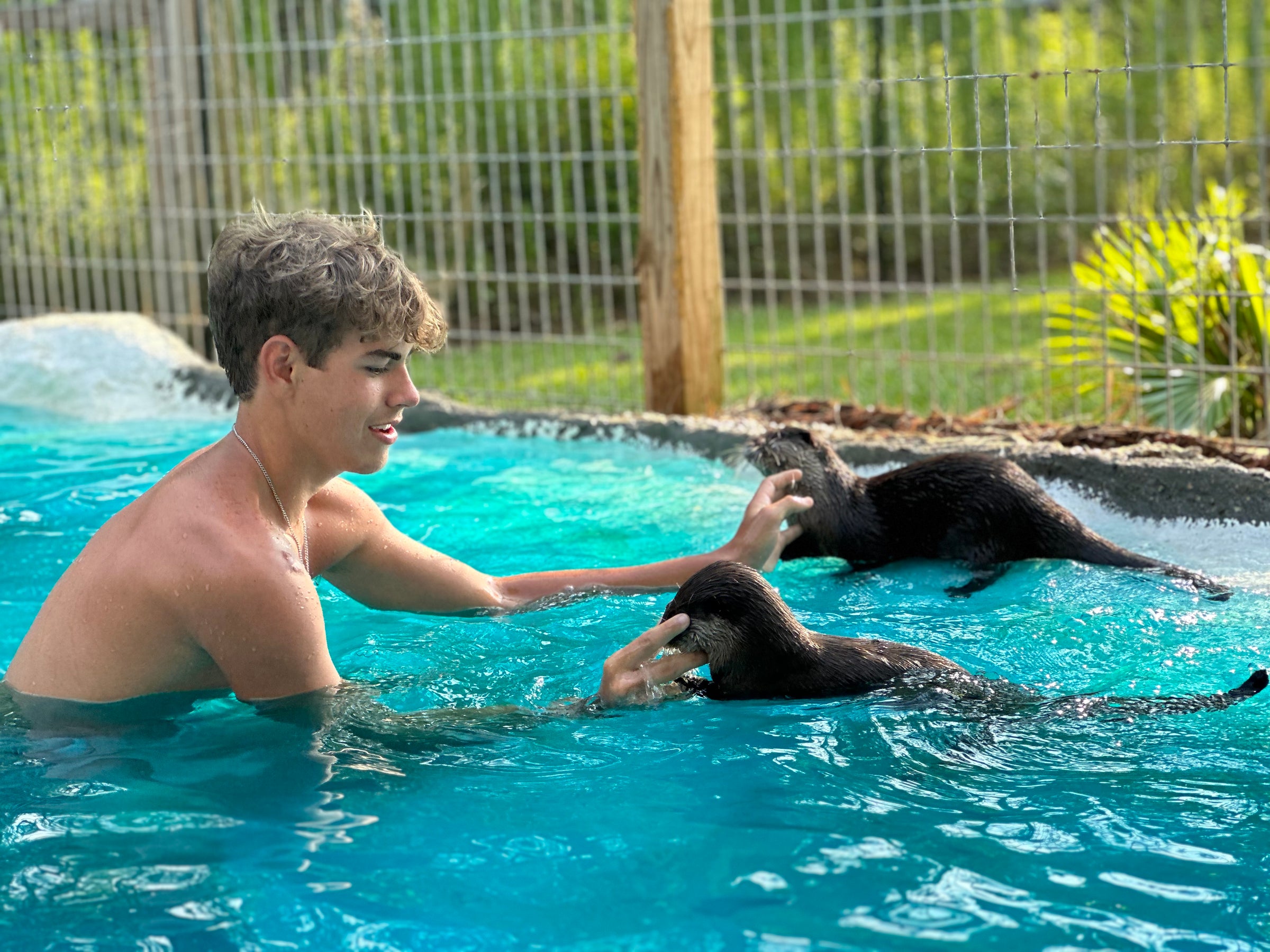 Gallery | Wild Acres