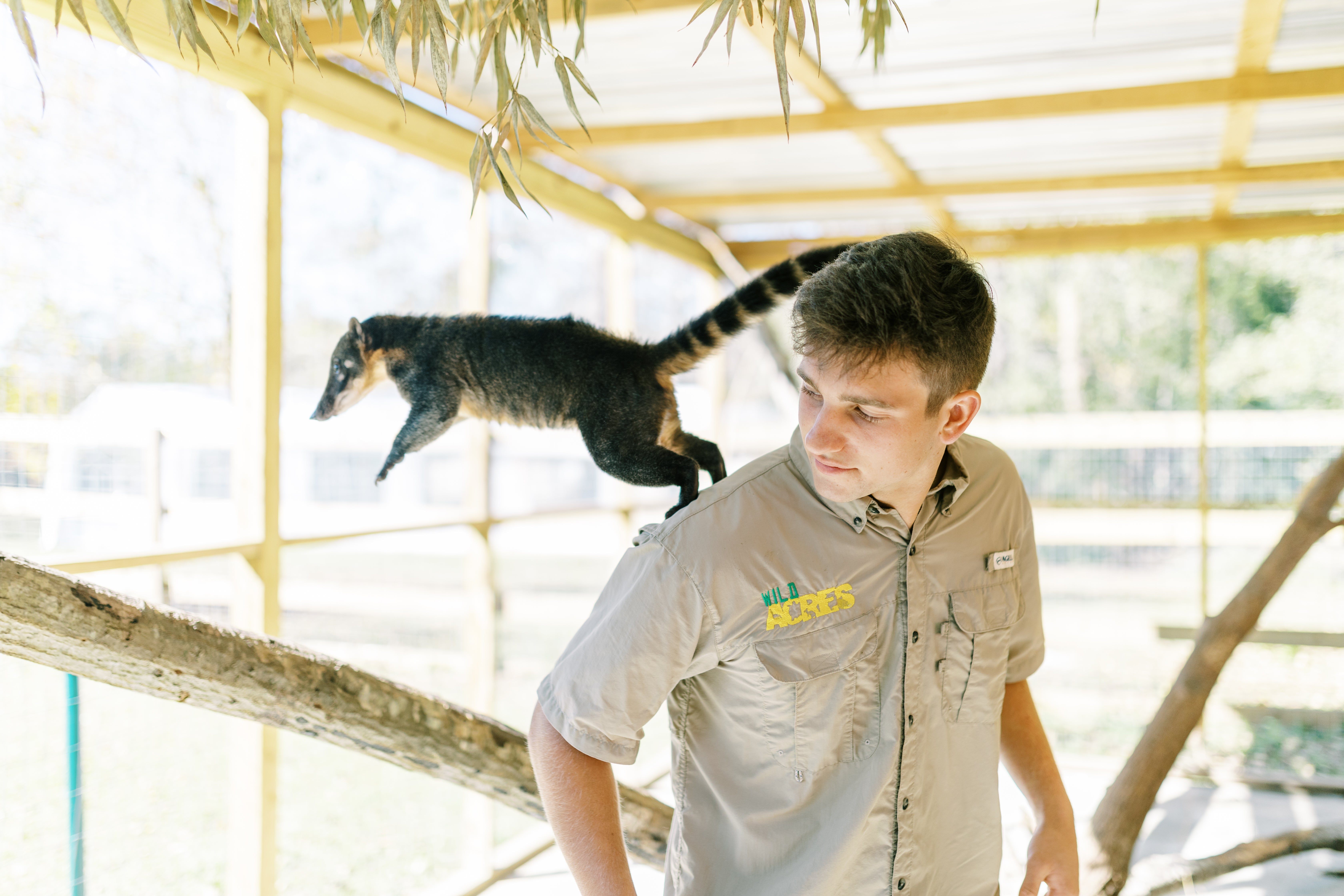 Our Animals | Wild Acres